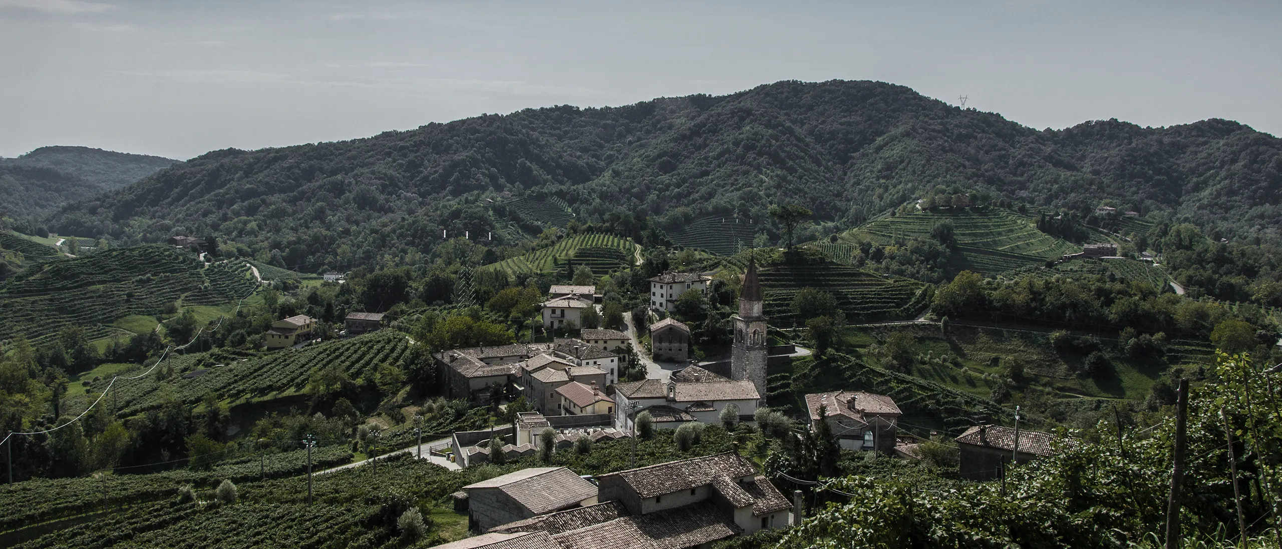 Adok e l'ambiente - Adok